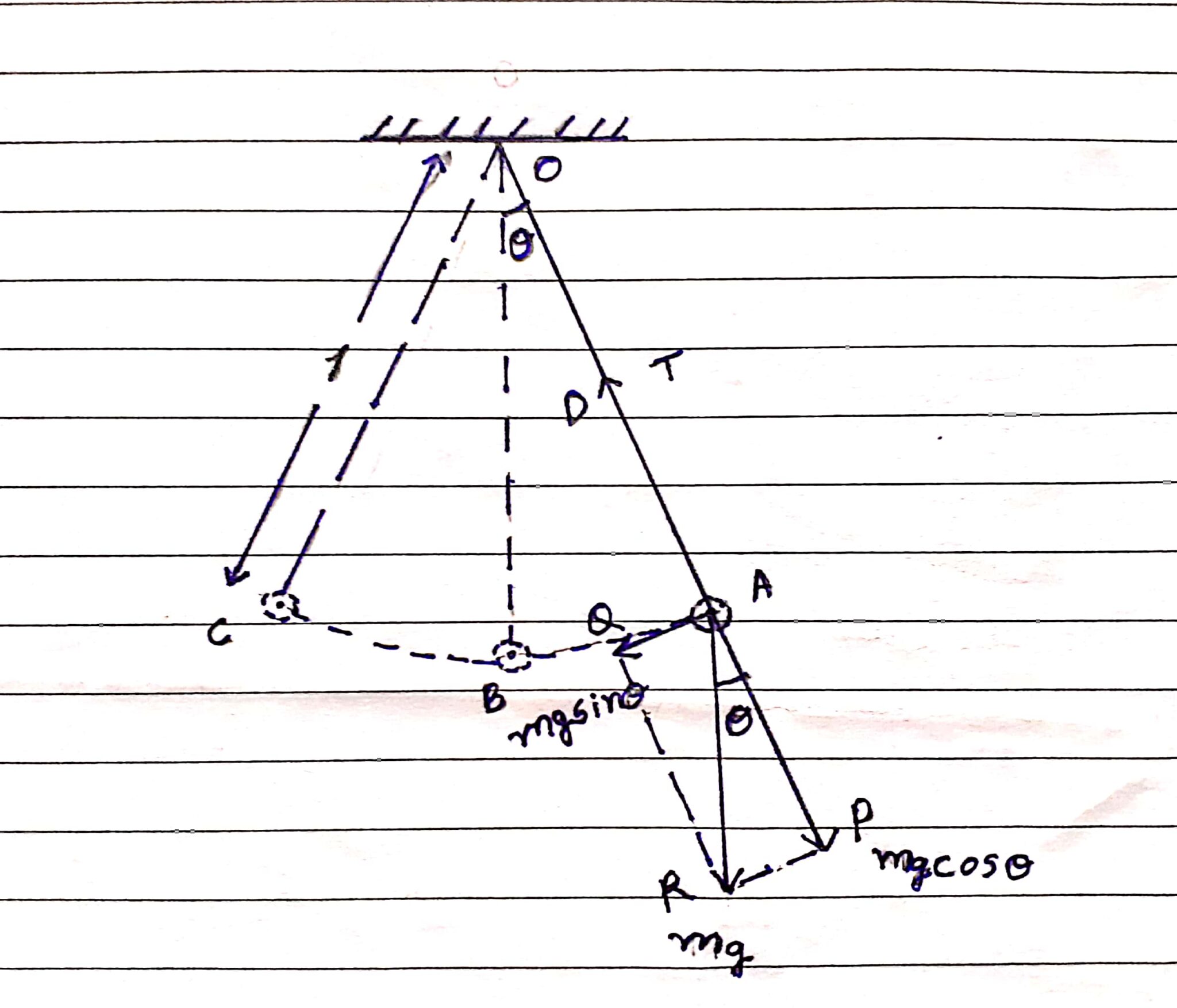 How to draw a vector diagram for the motion of Simple pendulum as a S ...